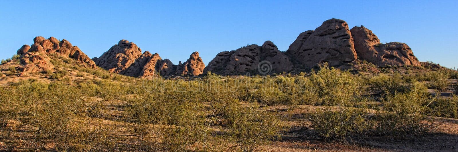 Papago Park stock photo. Image of cactus, butte, scottsdale - 31357990