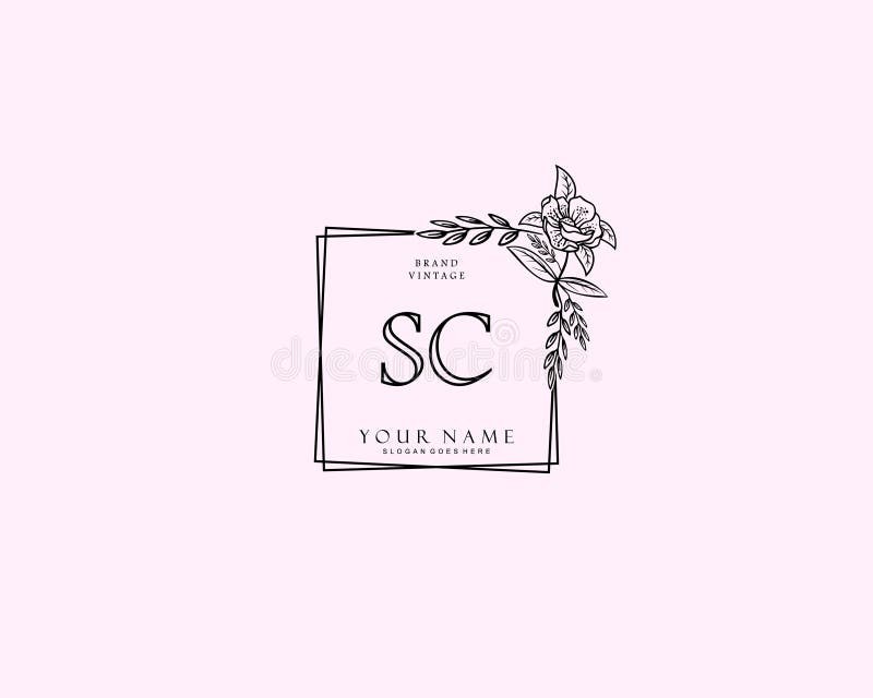 SC Signature Logo Template Vector Stock Vector - Illustration of brush ...
