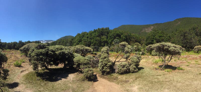 Papandayan Mountain stock image. Image of fresh, indonesia - 218272579 Papandayan Mountain stock image. Image of fresh, indonesia - 218272579