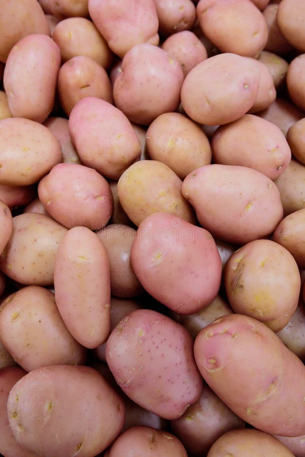 Papas rosas foto de archivo. Imagen de carbohidrato - 185069946