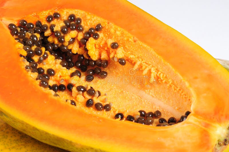 Papaya. stock photo. Image of ingredient, fruits, fruit - 13344360