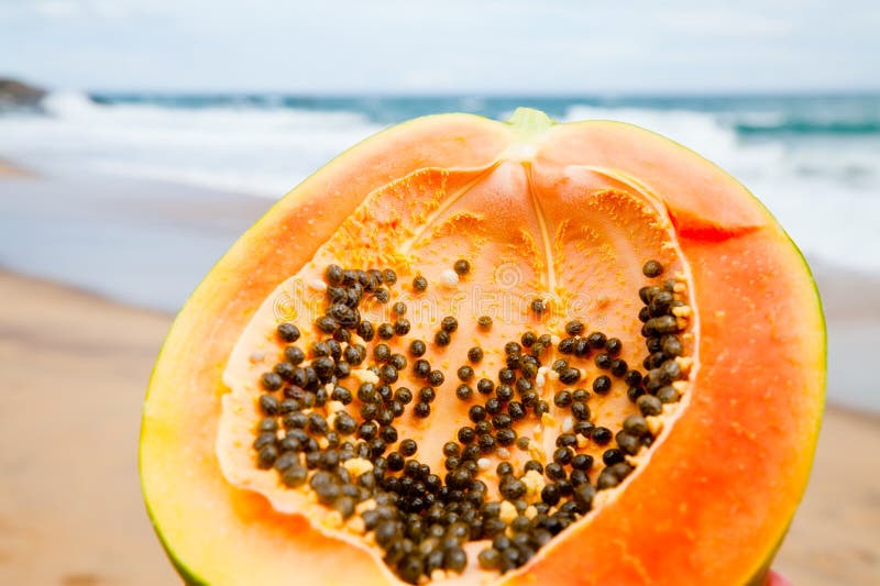 Papaya stock photo. Image of gourmet, coast, nutrition - 18939064