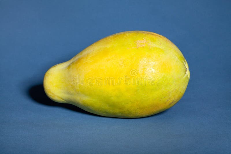 Papaya fruit on blue stock image. Image of background - 234605713