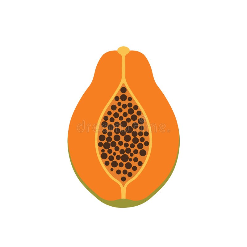 Papaya Fruit Icon Symbol. Vector Eps10 Stock Illustration ...