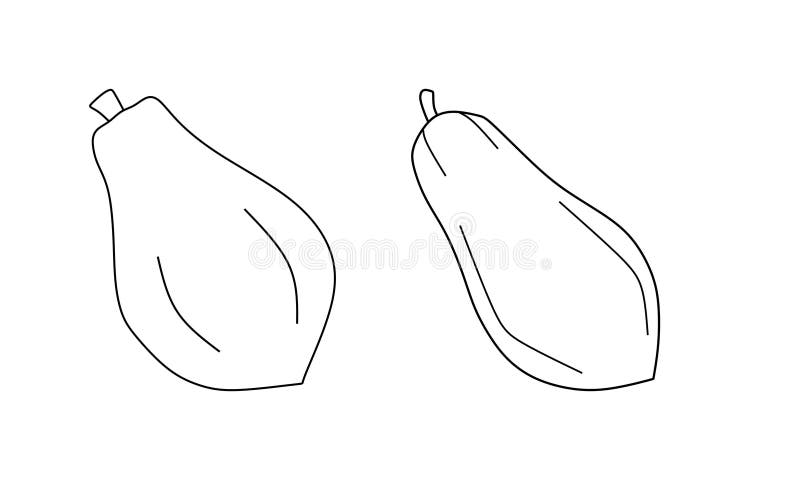 Papaya fruit outline stock vector. Illustration of pictogram - 350581627