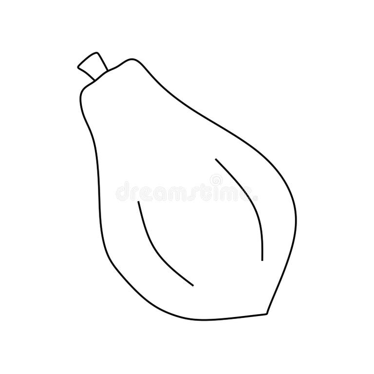 Papaya fruit outline stock vector. Illustration of diet - 350581624