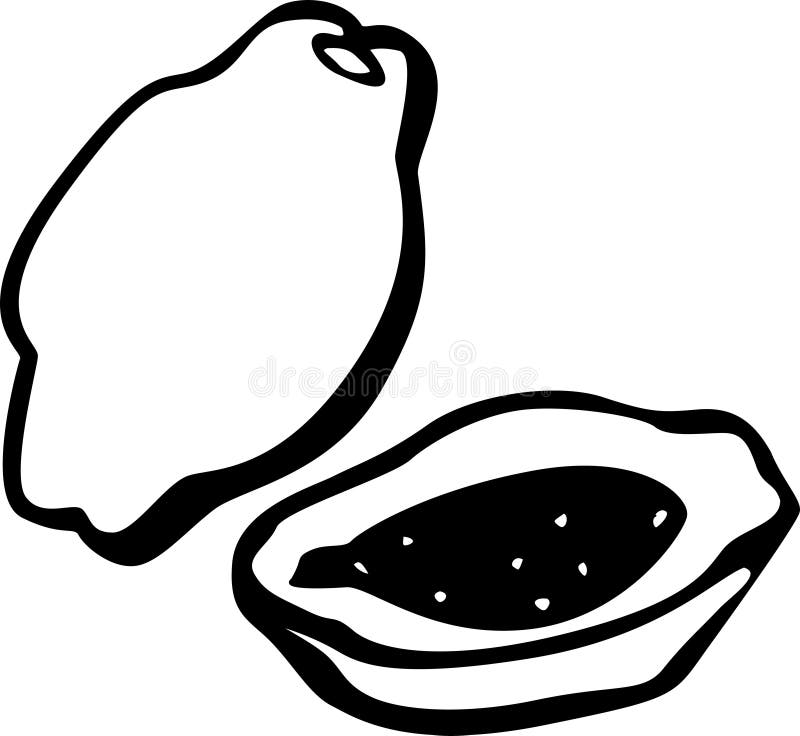 Papaya Fruit Vector Illustration Stock Vector - Illustration of vector ...