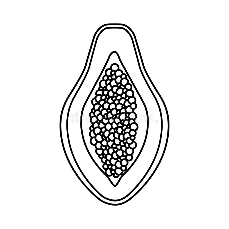 Papaya Icon Simple, Colored, for Logo. Diet Food Icon for Web, Gradient ...