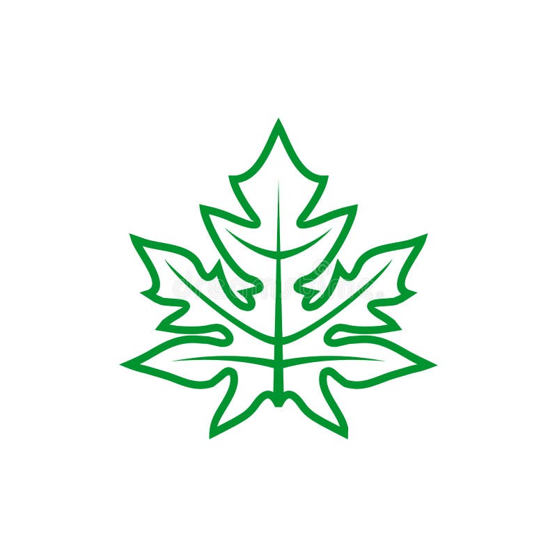 Papaya Leaf Logo Design Template Stock Vector - Illustration of ...