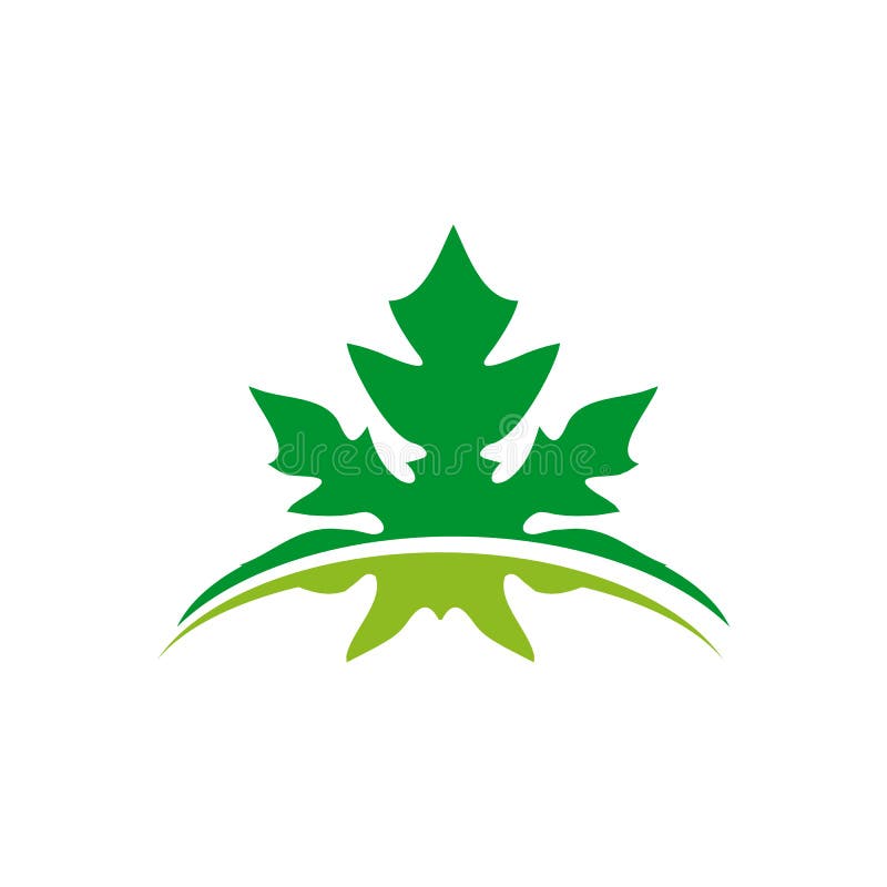 Papaya Leaf Logo Design Template Stock Vector - Illustration of healthy ...