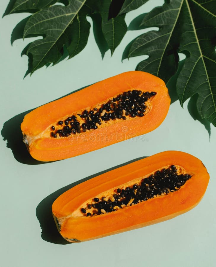 Papaya is the Original Tropical Fruit Stock Image - Image of original ...