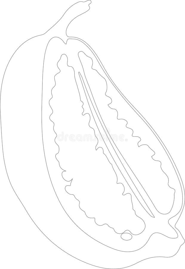 Papaya Outline Silhouette Generative Ai Stock Vector - Illustration of ...