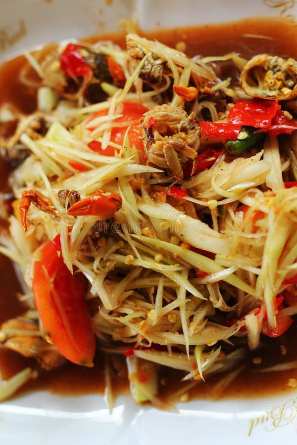 Papaya salad stock photo. Image of salad, papaya, prepared - 33057638