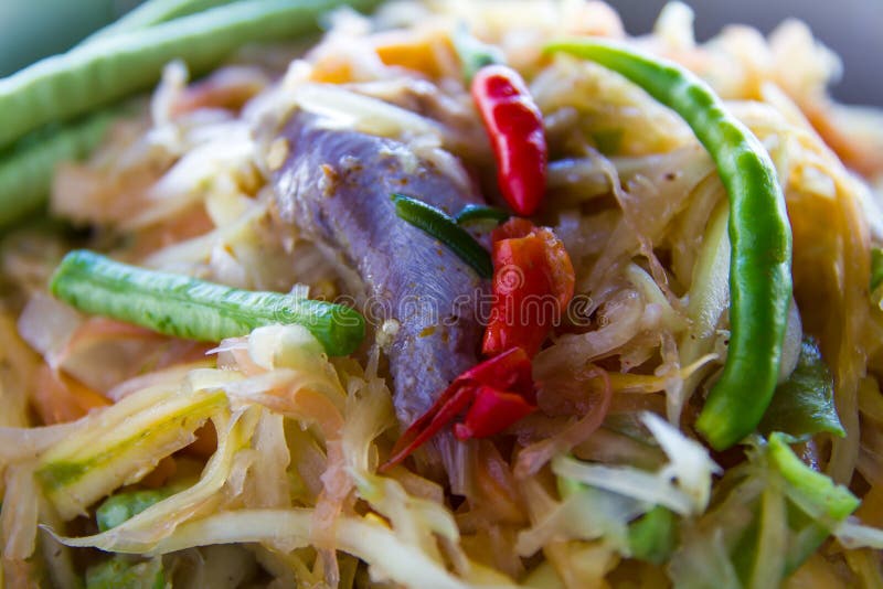 Papaya salad Pickled Fish stock image. Image of leaf - 44297917