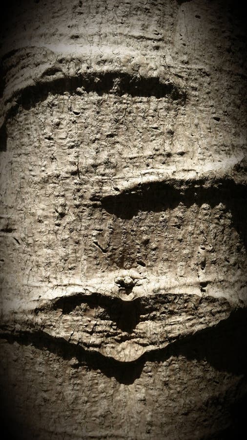 Papaya tree texture stock image. Image of papaya, fruit - 42900917