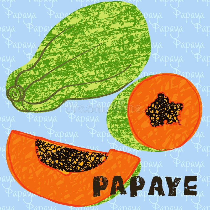 Papaya Vector Illustration. Colorful Textured Modern Design Stock ...