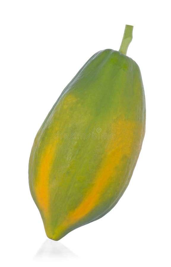 One Papaya. stock image. Image of healthy, green, organic - 119427949