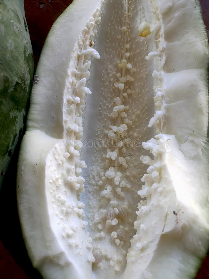 Papaya with white flesh stock image. Image of carving - 329085165