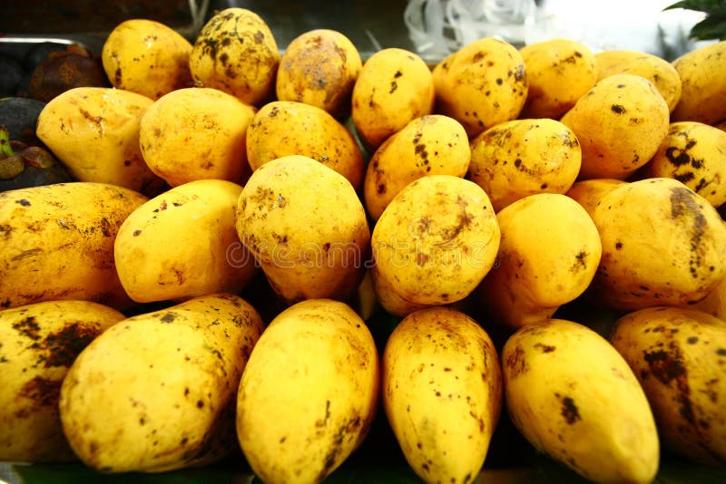 Papayas stock photo. Image of thai, food, aroma, peel - 32207194