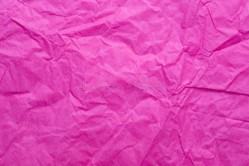 Rose arrugada rosa imagen de archivo. Imagen de capas - 78022473