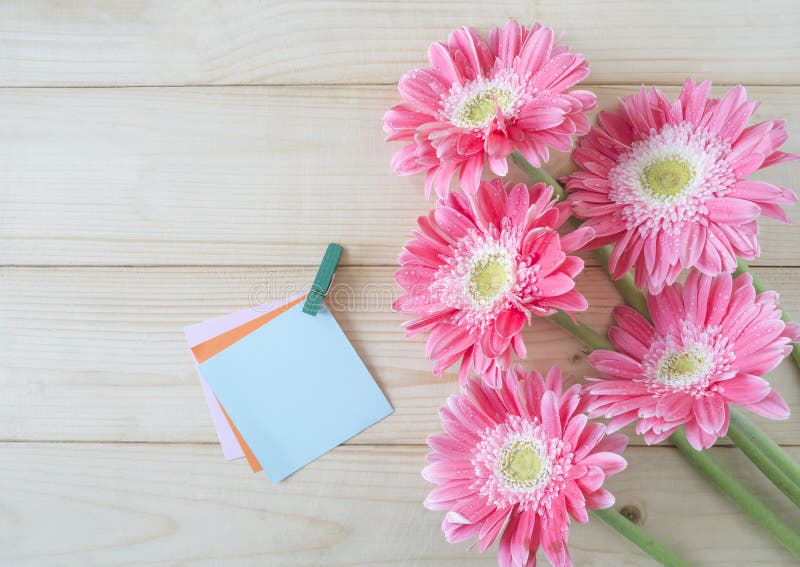 Papel De Nota Y Flor Rosada 1 Foto de archivo - Imagen de notepaper ...