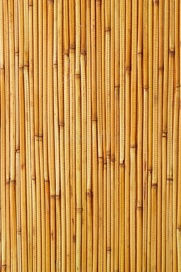 Papel Pintado Seco De La Textura De Las Cañas Foto de archivo - Imagen ... Papel Pintado Seco De La Textura De Las Cañas Foto de archivo - Imagen ...