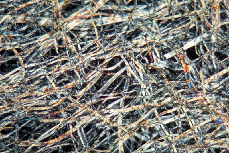 Papel sob o microscópio foto de stock. Imagem de refinado - 82015688