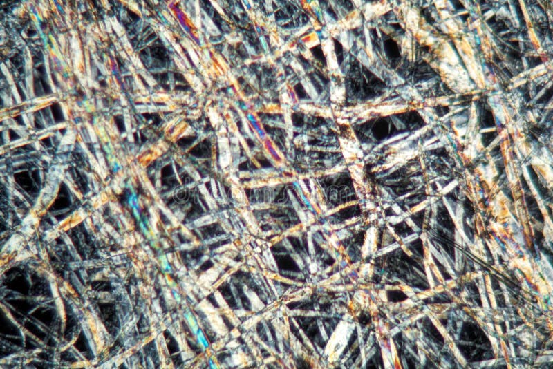 Papel sob o microscópio foto de stock. Imagem de refinado - 82015688