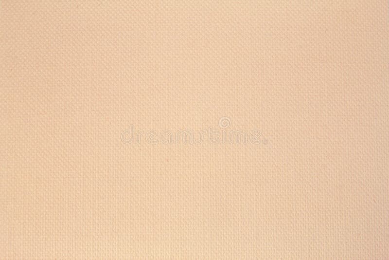 Fondo De Piel Texturizado De Color Textura De Piel Marrón Claro Imagen ...