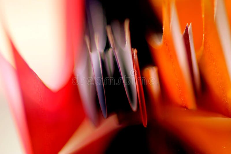 Paper abstract stock image. Image of abstract, power - 81387189