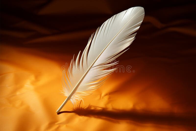 Paper Adorned with a Protruding Feather, a Touch of Rustic Charm Stock ...