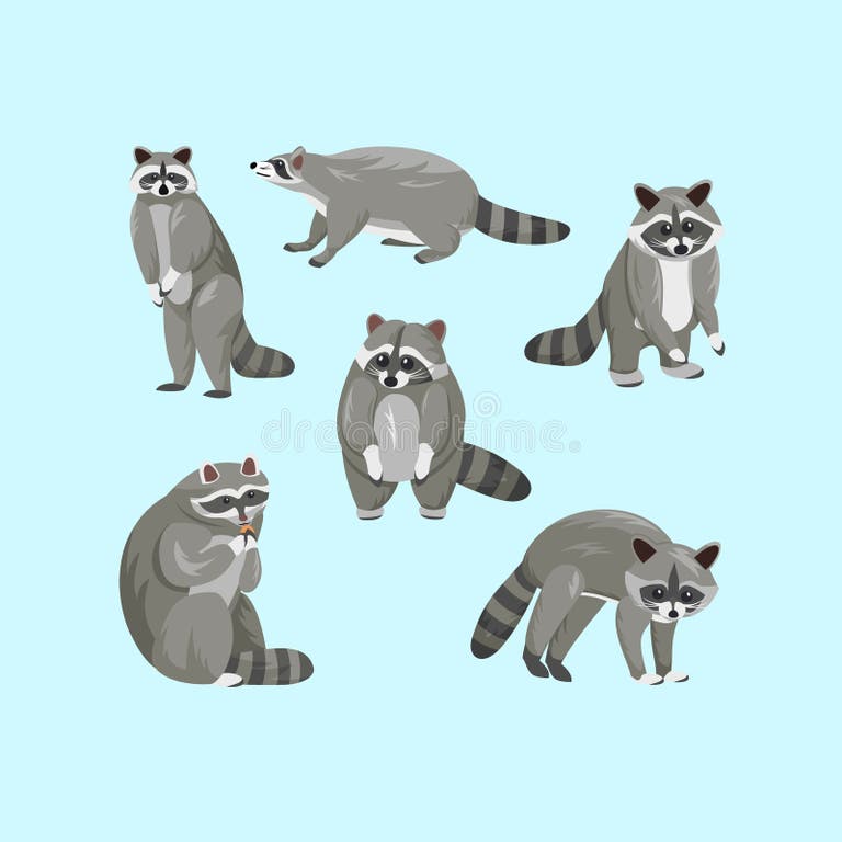 Raccoon Simple Stylized Various Pose Flat Vector Set Stock Vector ...