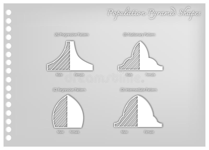 The 4 Types of Population Pyramids Graphs Stock Vector - Illustration ...