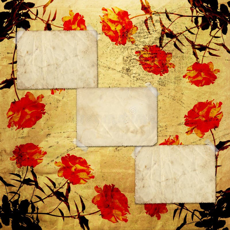 Paper Background for Announcement with Rose Stock Illustration ...