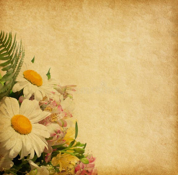 2,360 Parchment Paper Flowers Stock Photos - Free & Royalty-Free Stock ...