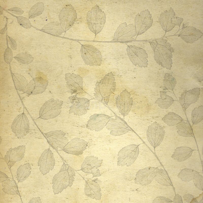 Paper Background with Scethed Lea Stock Illustration - Illustration of ...