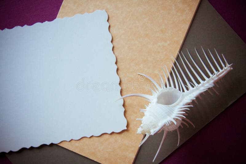 Paper Background with Shell Stock Image - Image of page, distressed ...