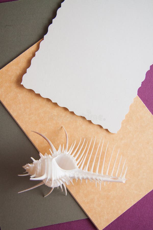 Paper Background with Shell Stock Image - Image of dramatic, bright ...