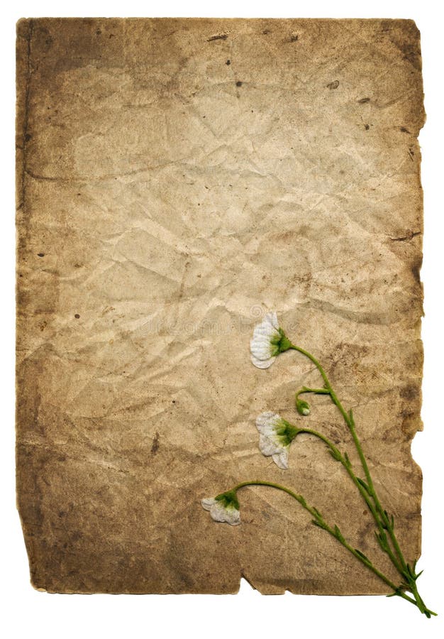 Paper Grass Background Stock Illustrations – 42,530 Paper Grass ...