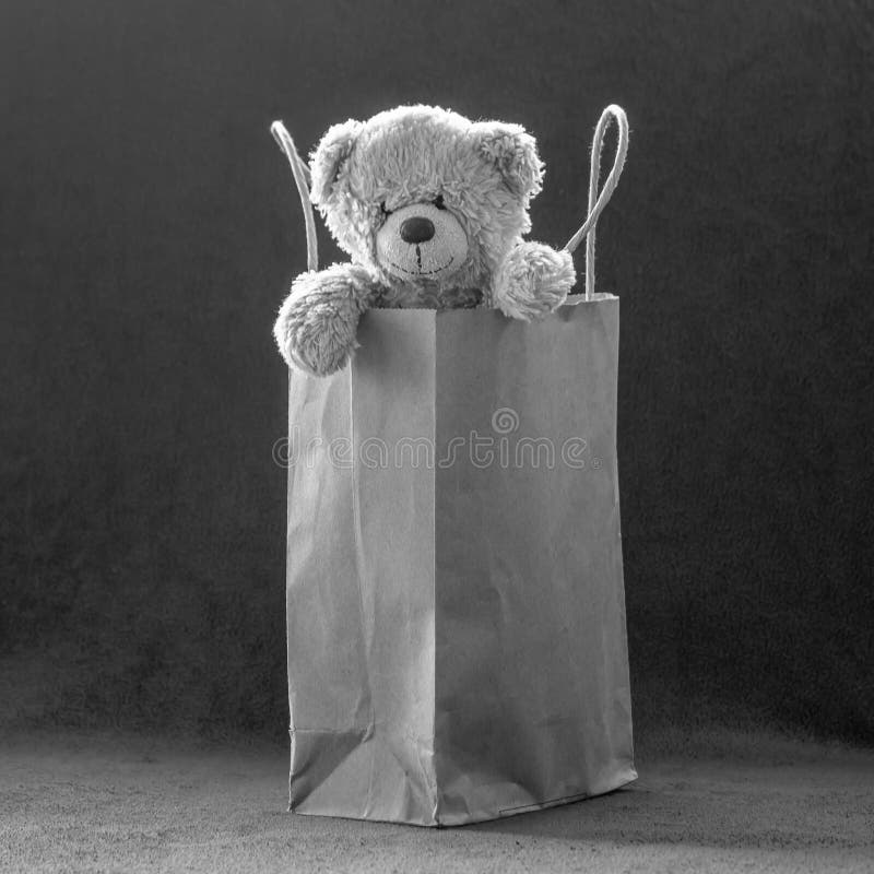 Paper bag with teddy bear stock image. Image of paper - 240963171