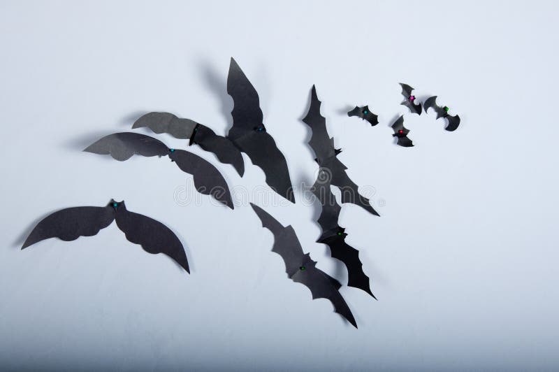 Bats Pinned Stock Photos - Free & Royalty-Free Stock Photos from Dreamstime