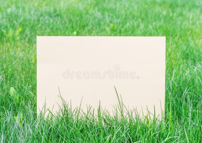 Paper Blank on the Green Grass. Green Grass As a Frame Stock Photo ...