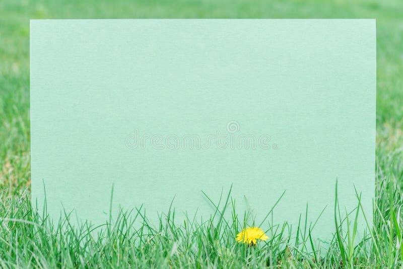 Paper Blank on the Green Grass. Green Grass As a Frame Stock Photo ...