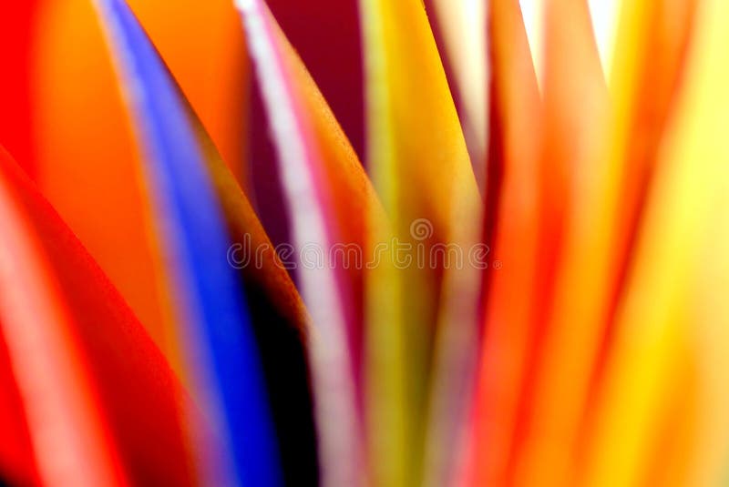 Paper blur abstract stock image. Image of interesting - 81336323