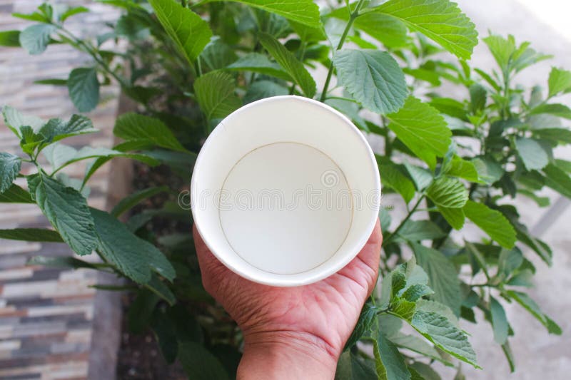 Paper Bowl stock image. Image of container, package - 346992853