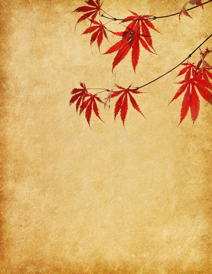 Paper with Branch of Red Autumn Leaves. Stock Illustration ...