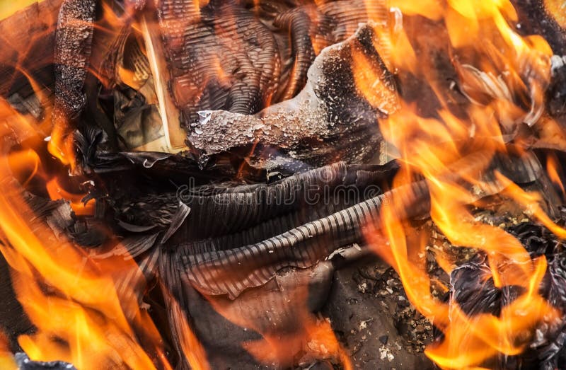 Paper burning in the fire stock image. Image of memories - 98130877