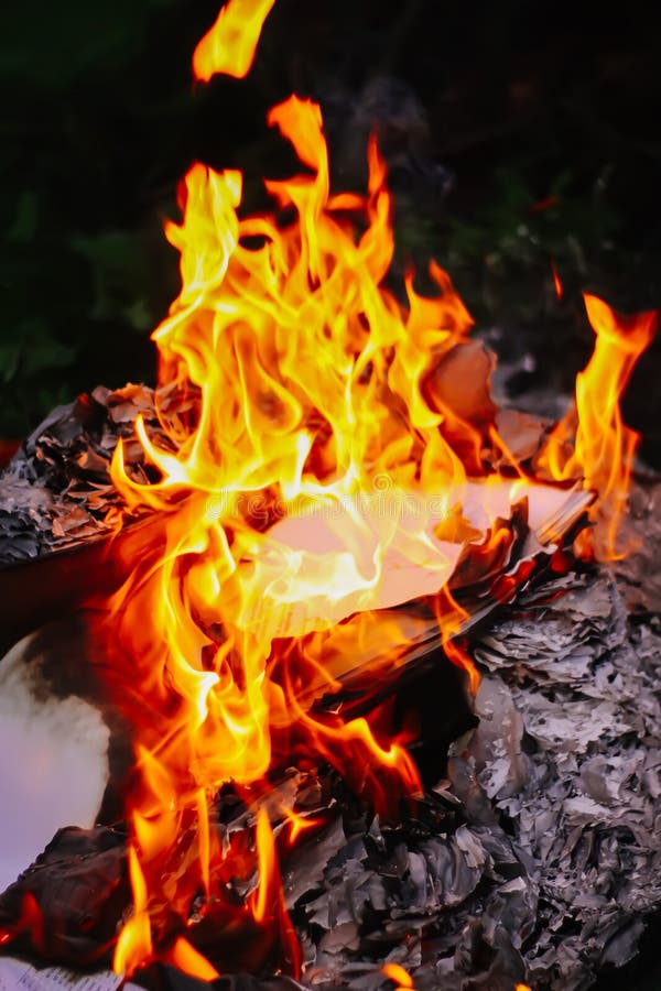 Paper Burning on Summer Grass Outdoors. Stock Photo - Image of grass ...