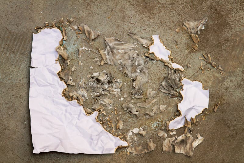 Paper burns stock image. Image of flaming, damaged, close - 25392855