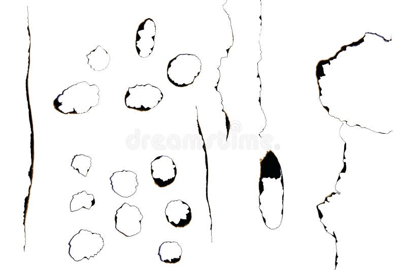 Burned Sections Stock Illustrations – 59 Burned Sections Stock ...